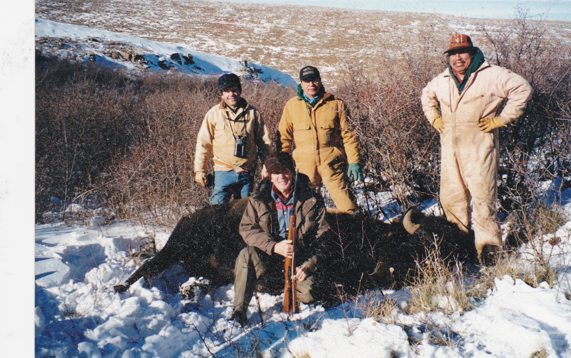 Pictures of our Montana Buffalo Hunts | Hunt Montana Buffalo